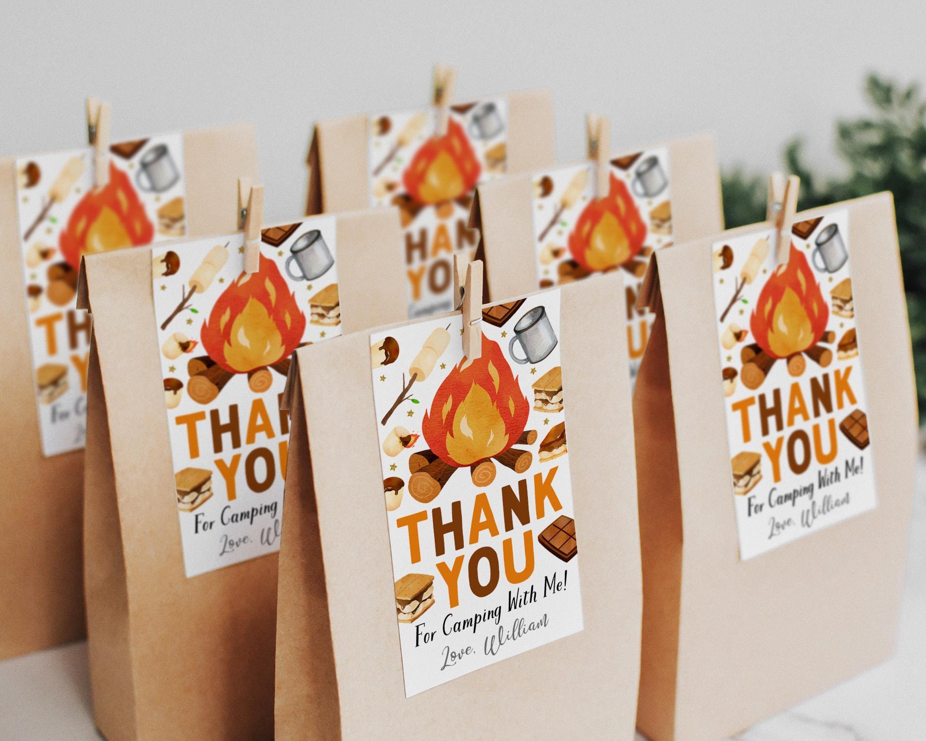 Bonfire S'mores Birthday Party Favor Tags Editable Template, Boy Kids ...
