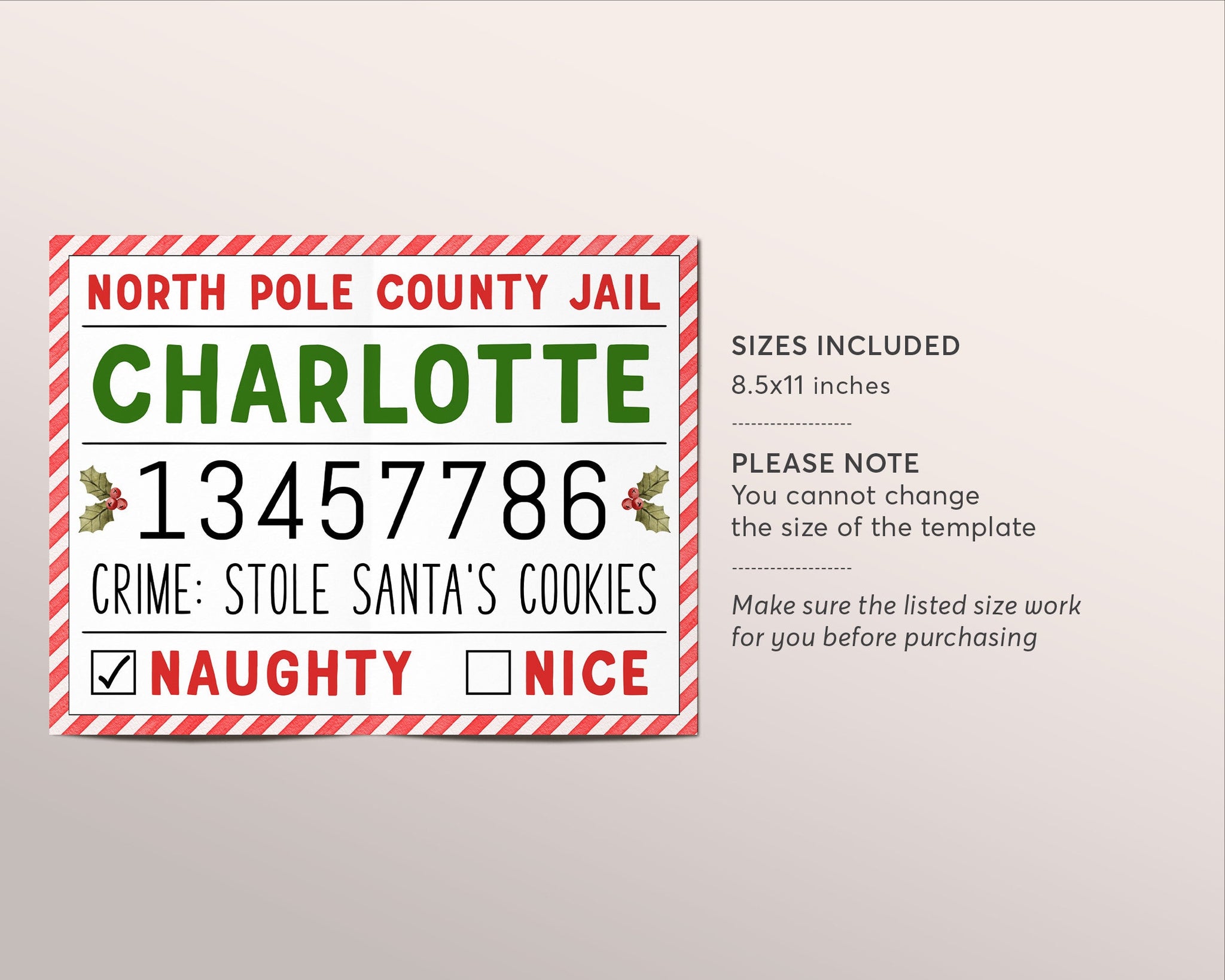 Christmas Mugshot Sign Board Editable Template, Holiday Ugly Sweater P ...